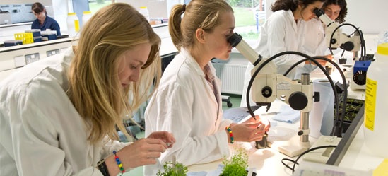 sciencelab - All Peers